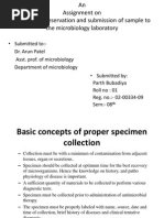 FAVN Report Form With Checklist | PDF