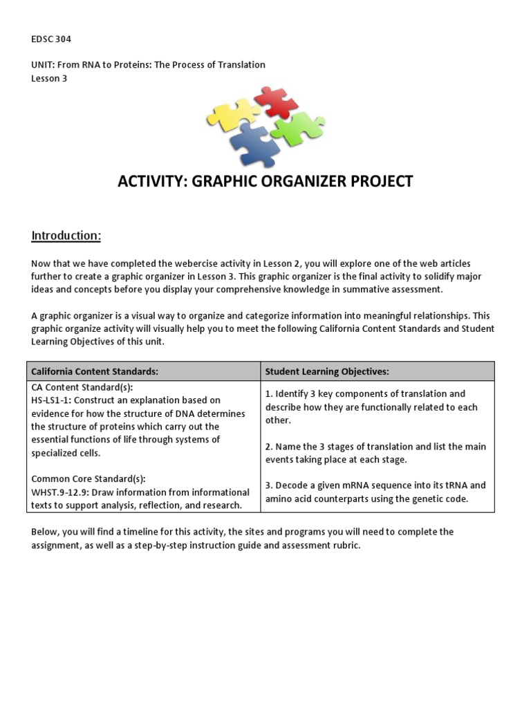 Graphic Organizer Instructions | PDF | Translation (Biology) | Genetics