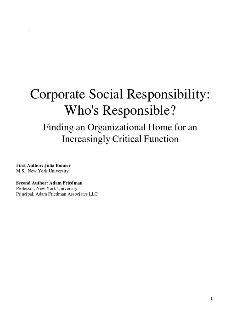 Corporate Social Responsibility | PDF | Corporate Social Responsibility ...