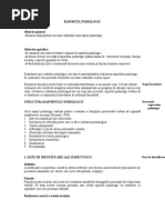 Raportul Psihologic | PDF