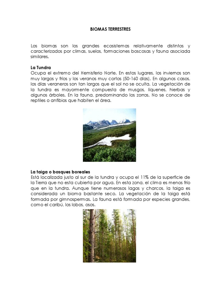 Biomas Terrestres | PDF | Biogeografia | Ciencias de la Tierra