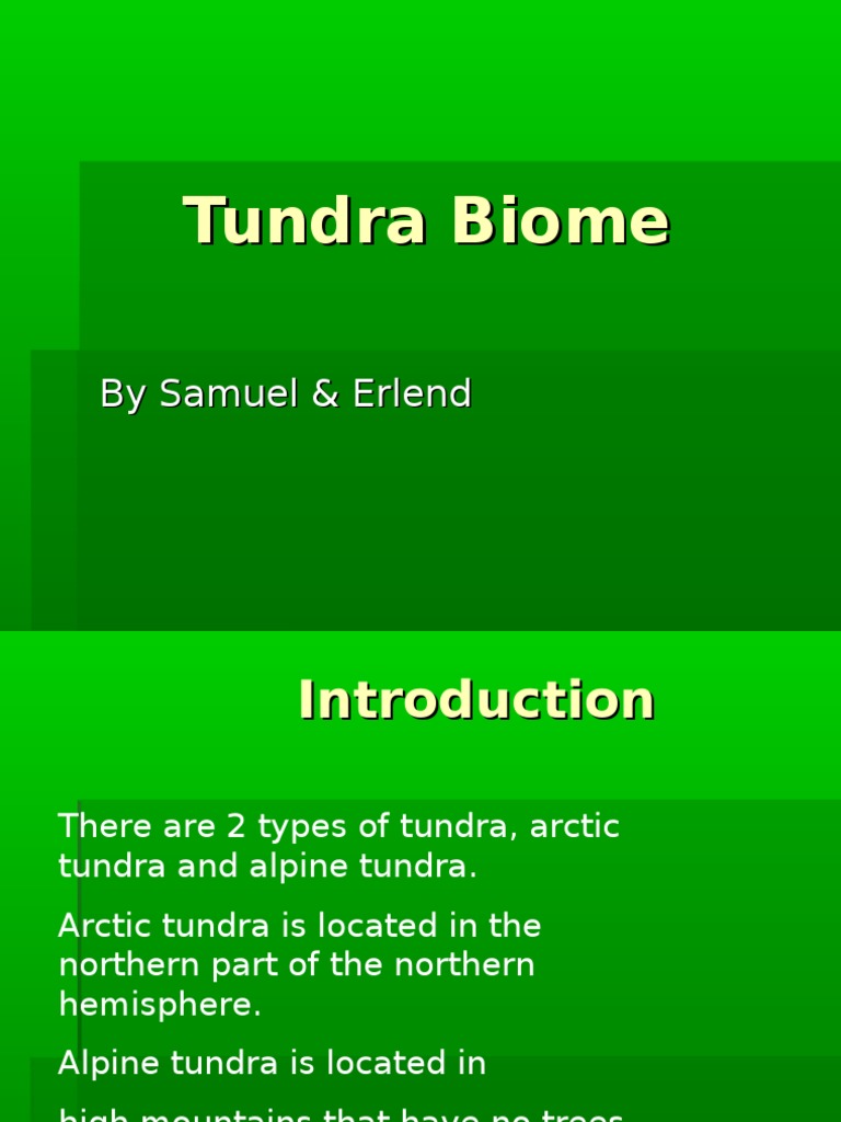 Tundra Biome | PDF | Physical Geography | Earth Sciences