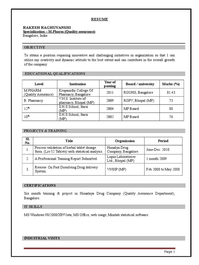 Resume Rakesh Raghuvanshi | PDF | Career & Growth