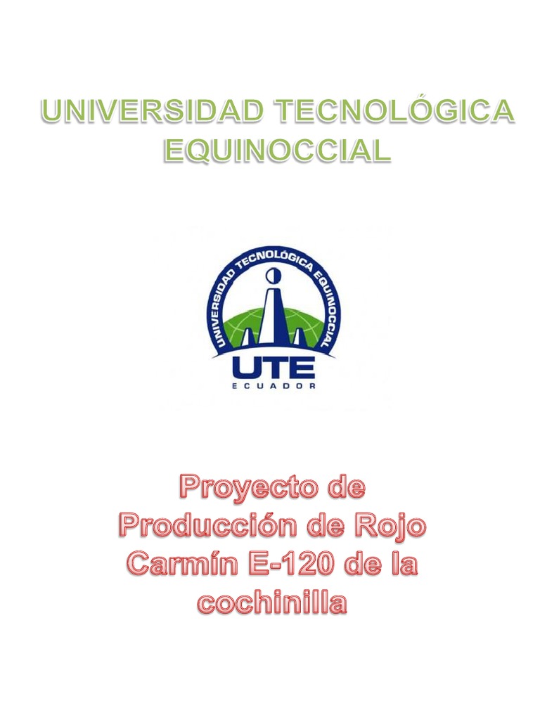 Proyecto de Producción de Rojo Carmín E-120 | PDF | Comida y bebida ...