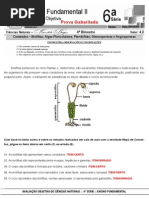 Mapa Mental - Angiospermas 1 - Biologia | PDF