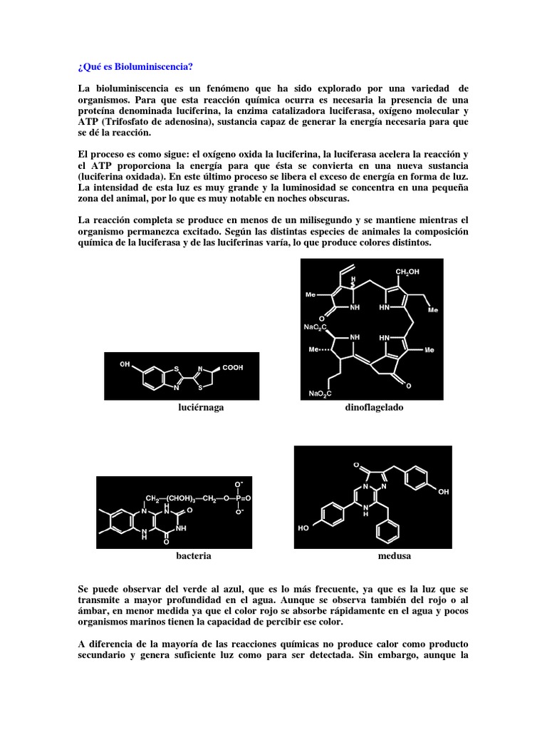 Bioluminiscencia: Luciérnina y Luciferasa | PDF | Química | Biología