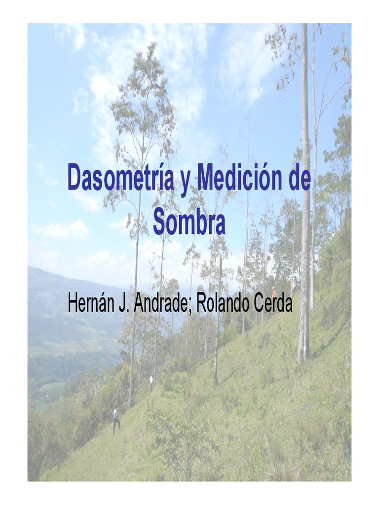 Dasometría y Medición de Sombra | PDF | Arboles | Medición