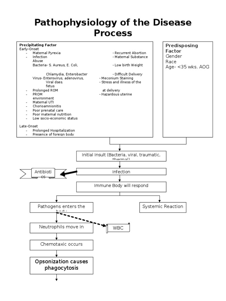 Sepsis Pathophysiology Diagram