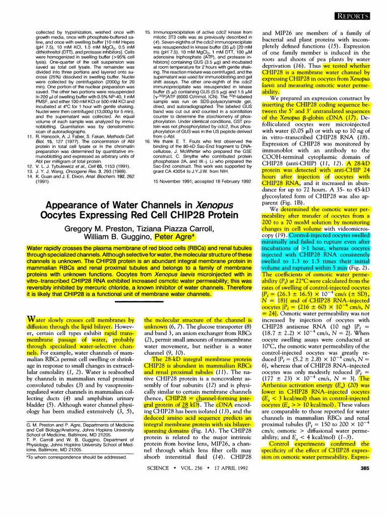 Appearance of Water Channels in Xenopus Oocytes Expressing Red Cell ...