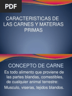 Visceras de La Res | PDF | Menudencias | Carne