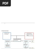 IVF Color Coding and Flow Rates | PDF