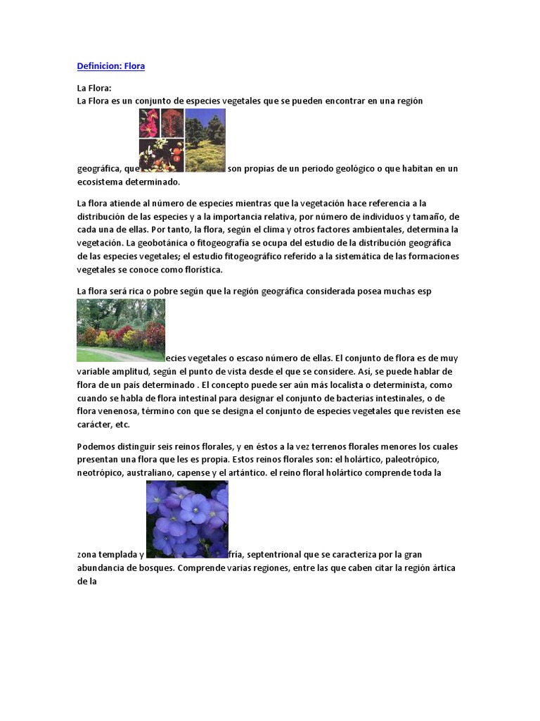 Definición de Flora y Fauna | PDF | Flora | Especies