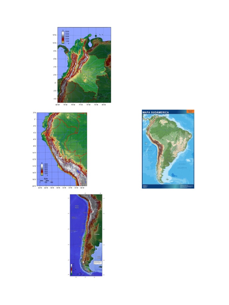 Mapa Bosque Andino y Alto Andino | PDF | Andes | Los bosques