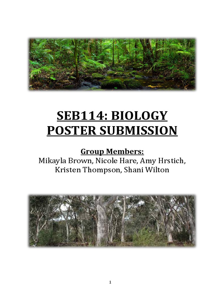 SEB114 Biology Report Final | PDF | Rainforest | Forests