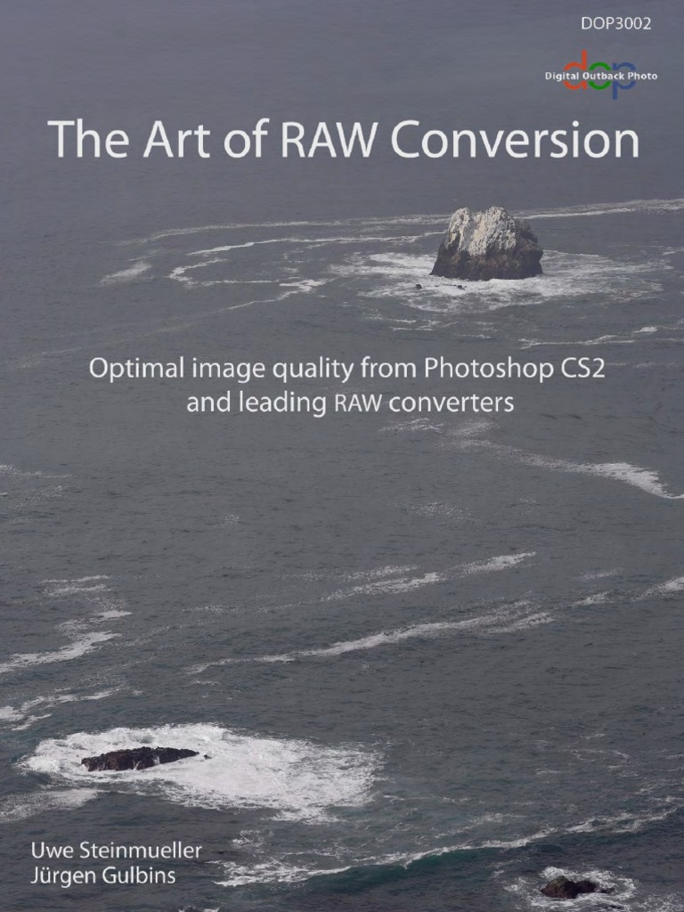Steinmueller Photo - The Art of RAW Conversion | PDF | Raw Image Format | Adobe Photoshop