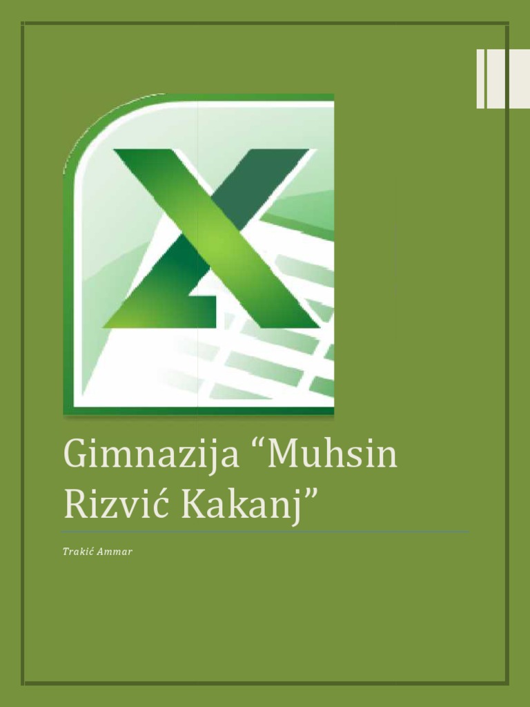 Knjiga o Excelu | PDF