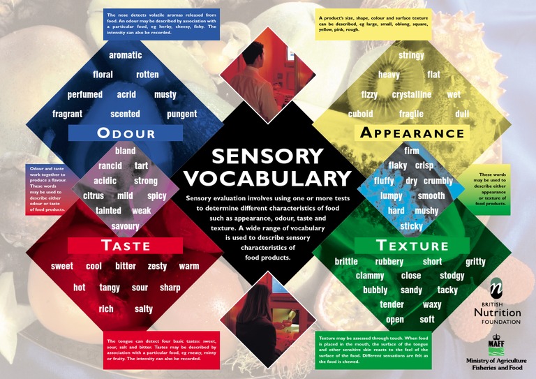 BNF Sensory Vocab Poster 2 Taste Odor