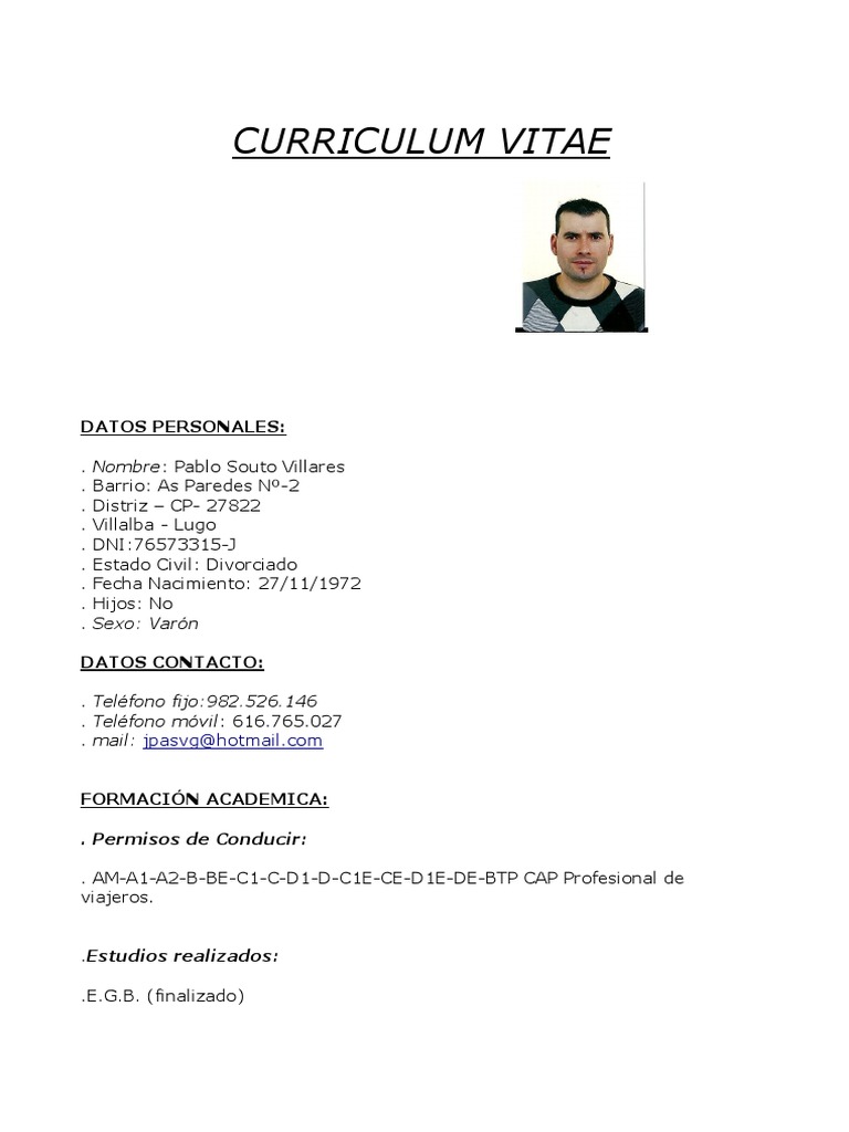 Curriculum Pablo PDF | PDF | Energía y recursos | Business