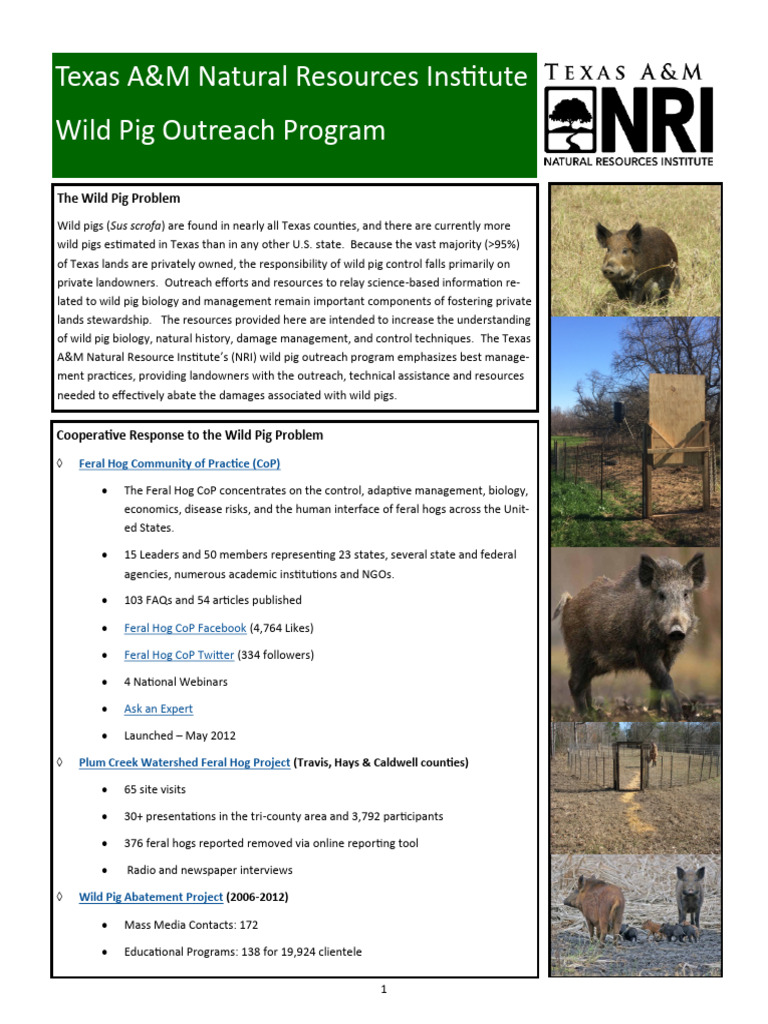 Wild Pig Resources - Texas A&M Natural Resources Institute | PDF ...