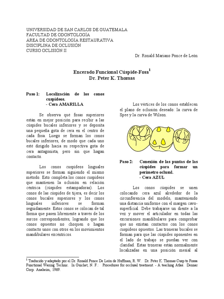 Técnica de Encerado Cúspide-Fosa | PDF | Triángulo | Diente humano