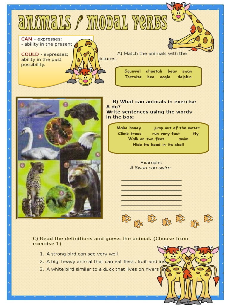 Animal Abilities for Kids | PDF | Foreign Language Studies | Computers