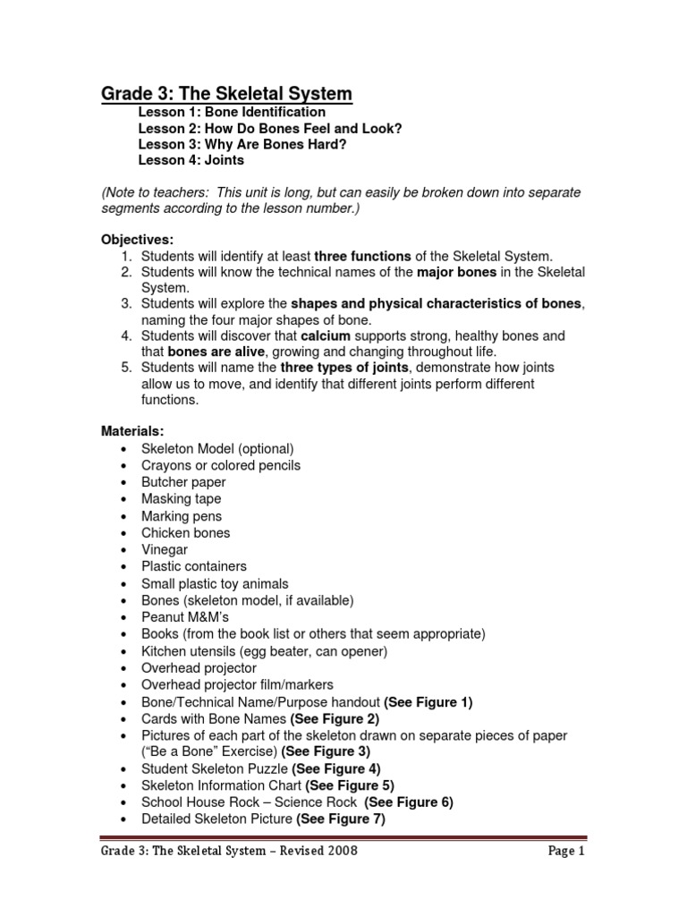 Grade 3 Skeletal System | PDF | Skeleton | Bone