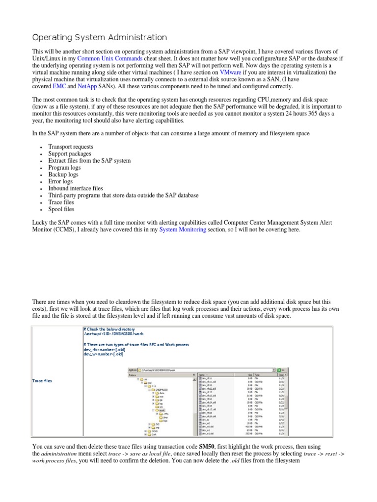 Operating System Administration | PDF | File System | Operating System