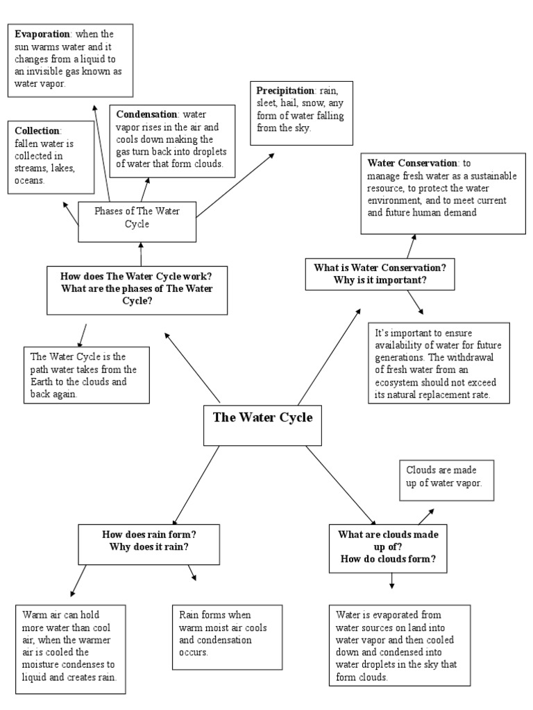 Water Cycle Web | PDF | Water Cycle | Water Vapor