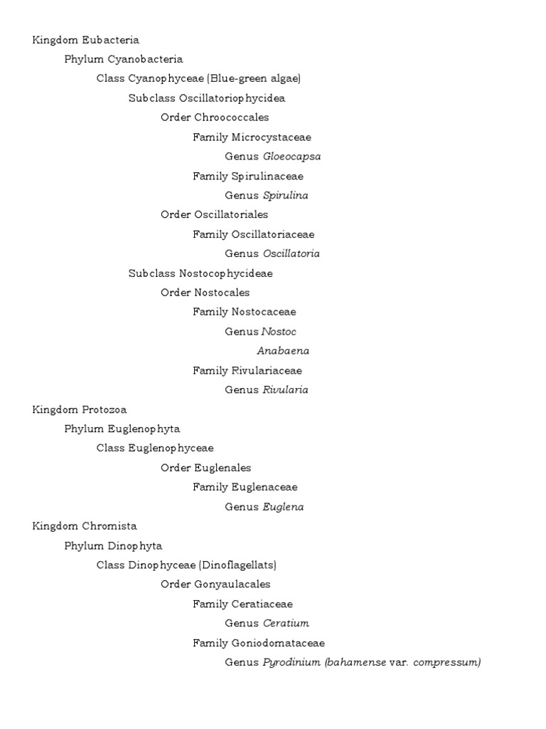 Algae Taxonomic Classification | PDF