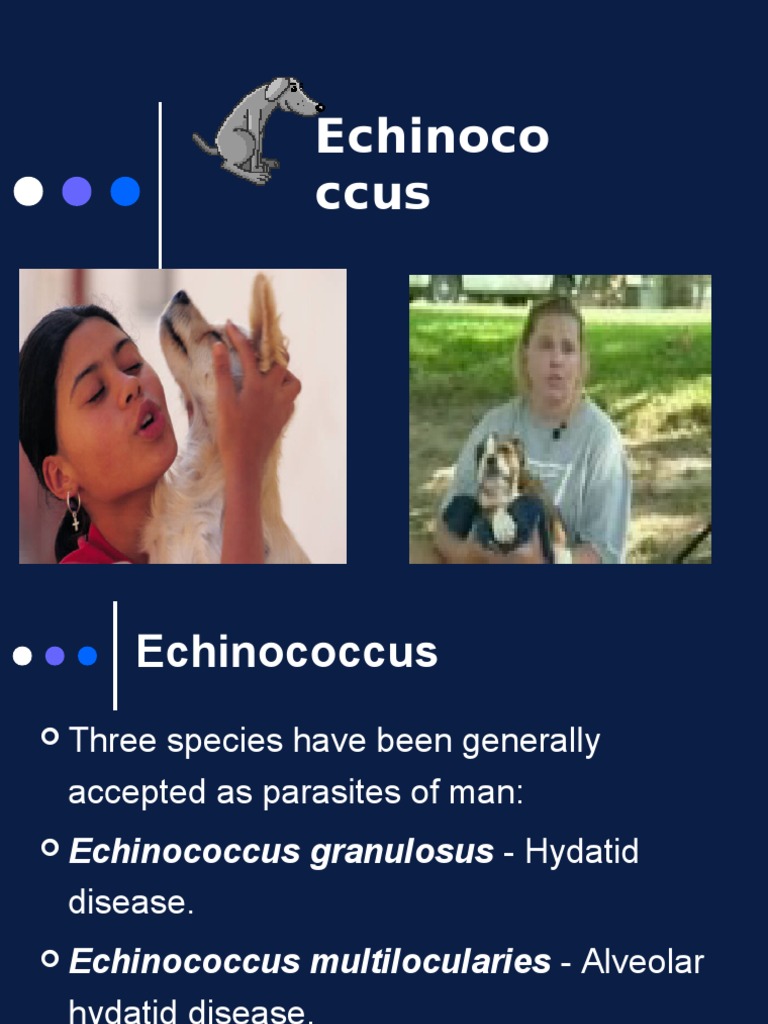 Echinococcus Granulosus | PDF | Science & Mathematics