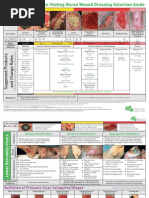 NHS Fife Assessment Chart For Wound Management | PDF | Wound | Clinical ...