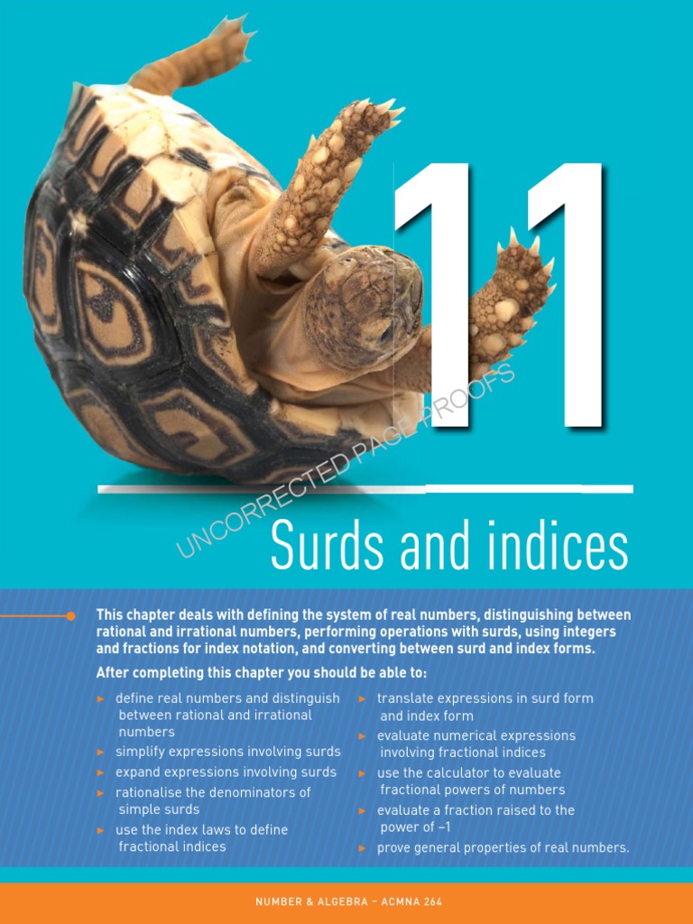 Surds and Indices | PDF | Rational Number | Fraction (Mathematics)