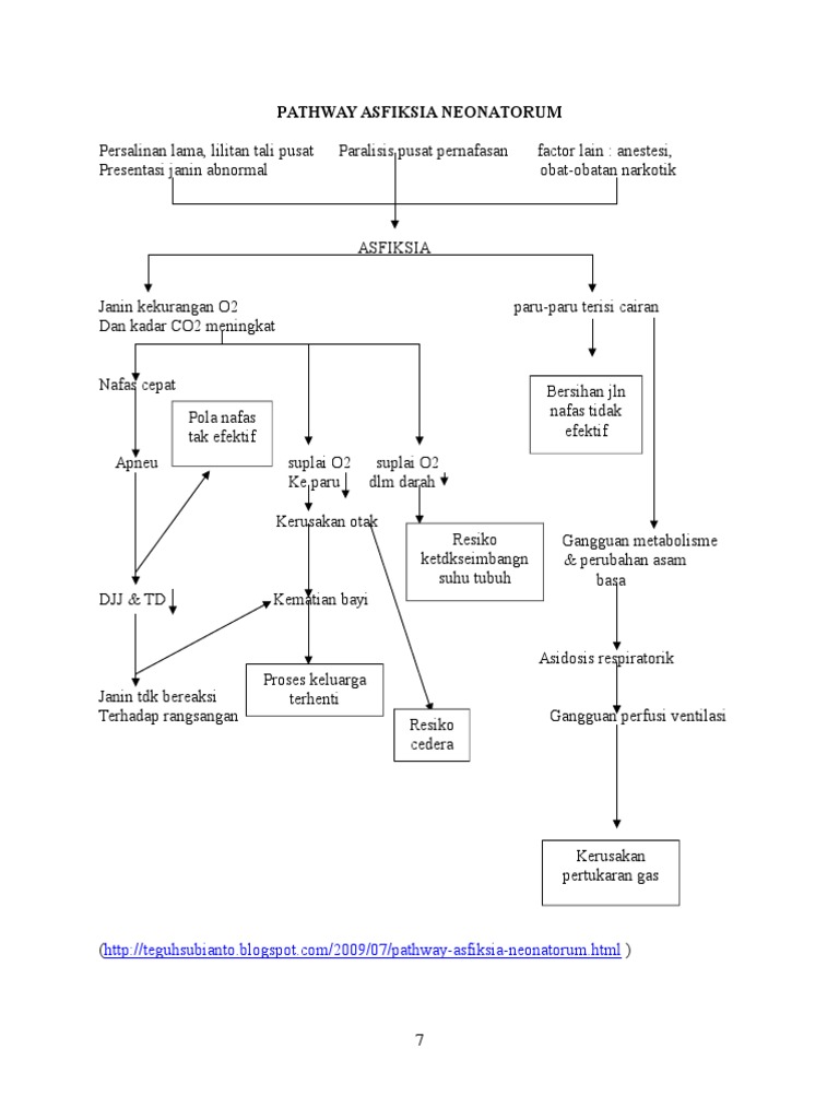 Pathway Asfiksia Neonatorum | PDF | Kesehatan Holistik | Sains & Matematika