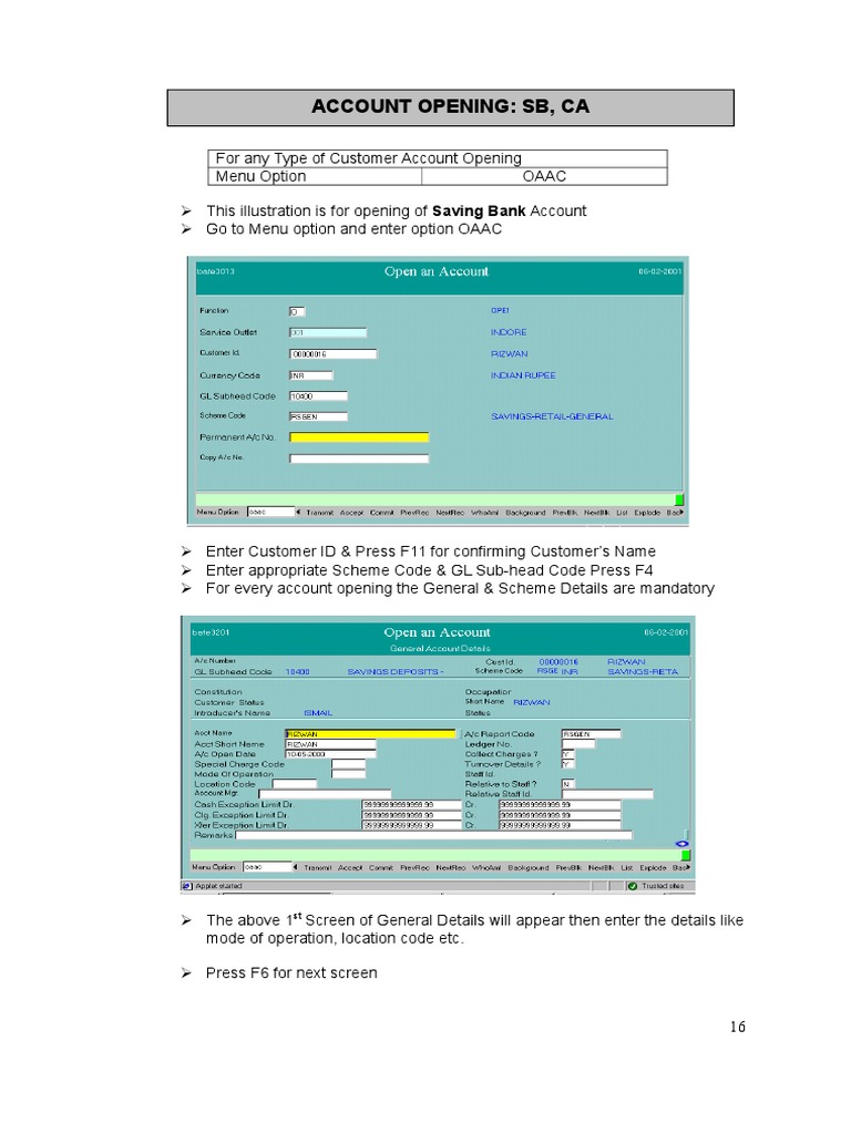 Opening SB and CA Accounts Guide | PDF | Computing | Software