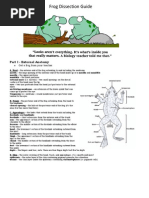 Anatomy and Dissection of Lizards | PDF | Reptile | Anatomy