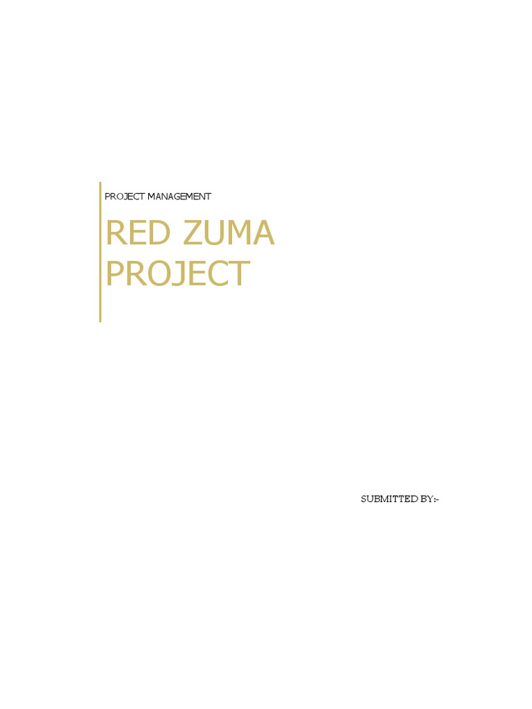 Red Zuma | PDF | Planning | Operations Research
