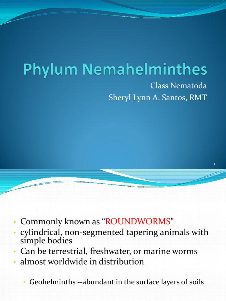 Overview of Nematodes and Their Diseases | PDF | Nematode | Medicine