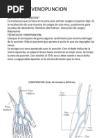Guía de Venopunción: Pasos y Procedimientos | PDF | Sangre ...