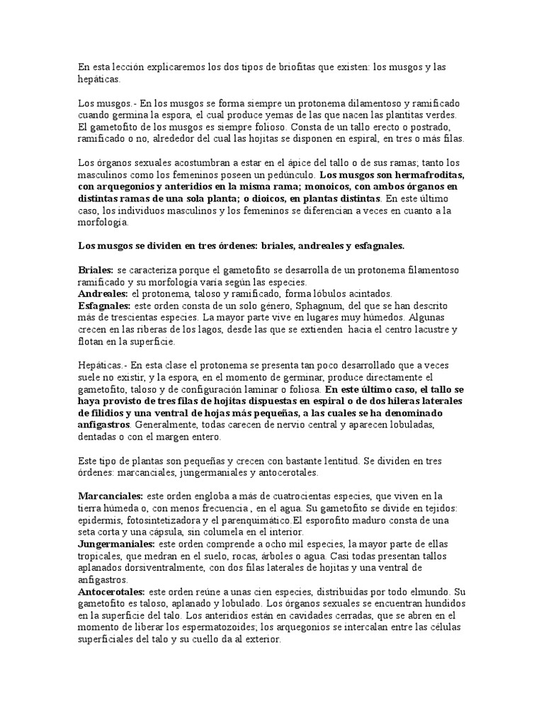 En Esta Lección Explicaremos Los Dos Tipos de Briofitas Que Existen ... En Esta Lección Explicaremos Los Dos Tipos de Briofitas Que Existen ...