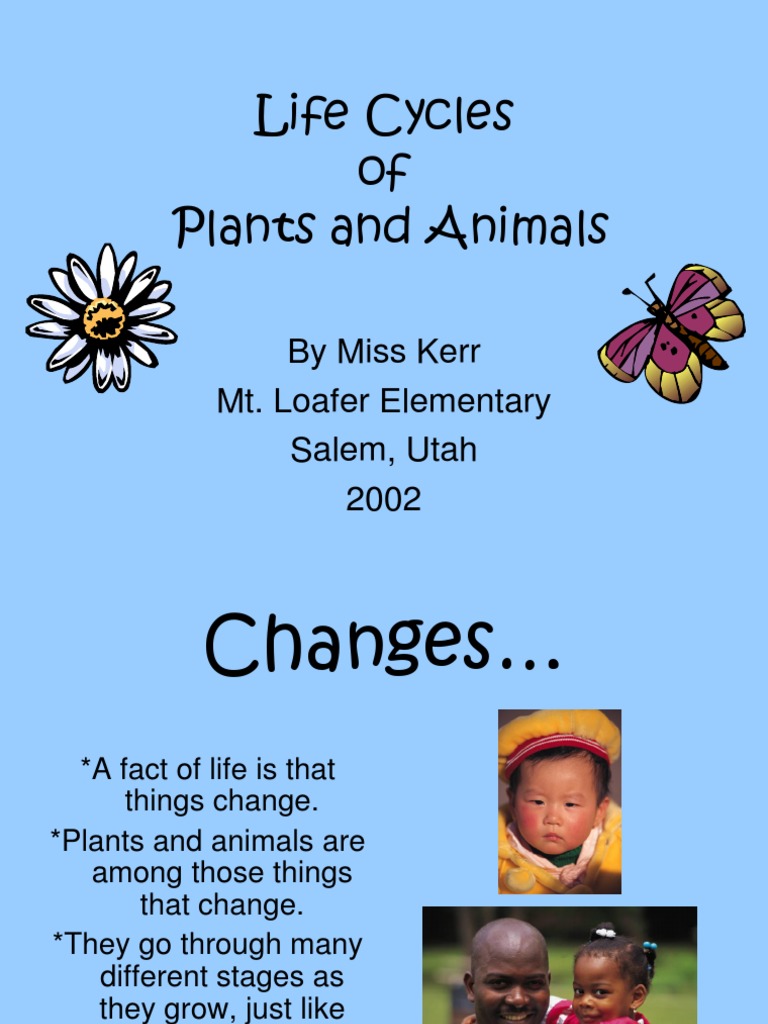 Life Cycles of Plants and Animals: by Miss Kerr Mt. Loafer Elementary ...