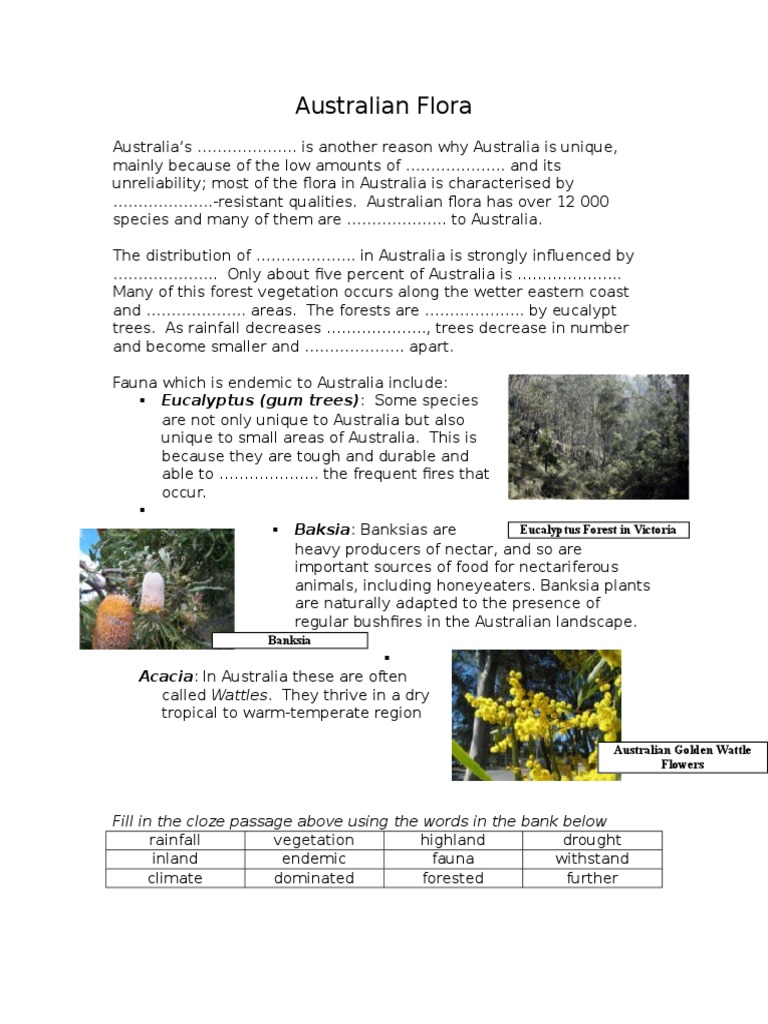5 Australian Flora | PDF