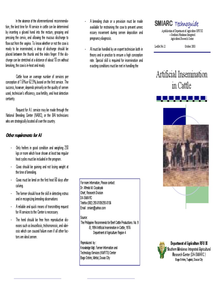 Artificial Insemination in Cattle | PDF | Bull | Cattle