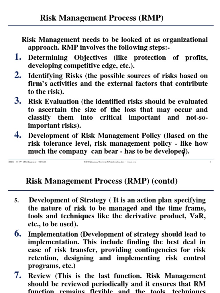 Risk Management Process | PDF