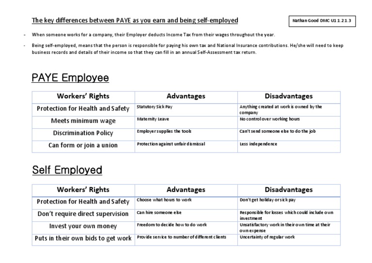 PAYE vs Self-Employed: Key Differences | PDF