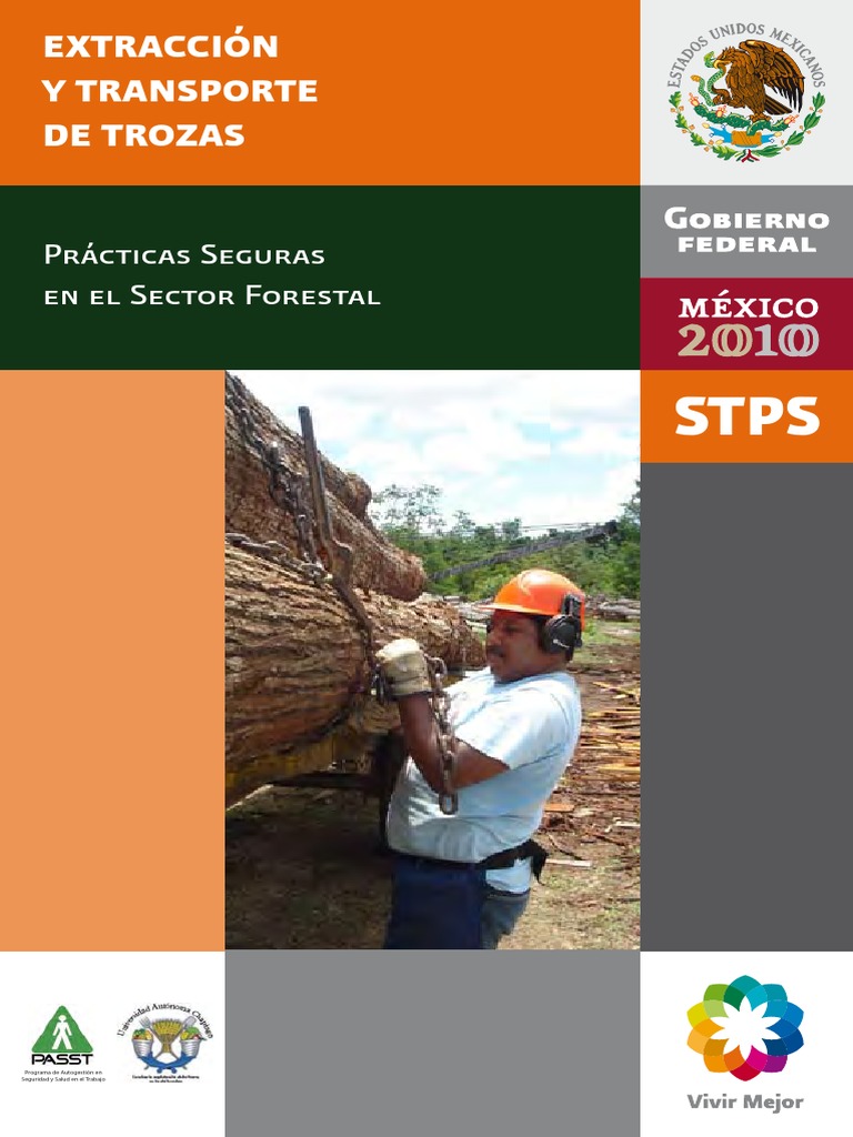 Transporte de Trozas | PDF | Tecnología