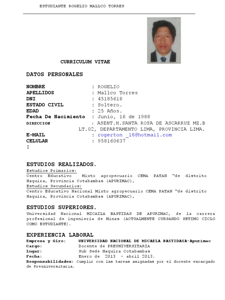 Curriculum Vitae de Rogelio | PDF | Educación avanzada | Informática y ...