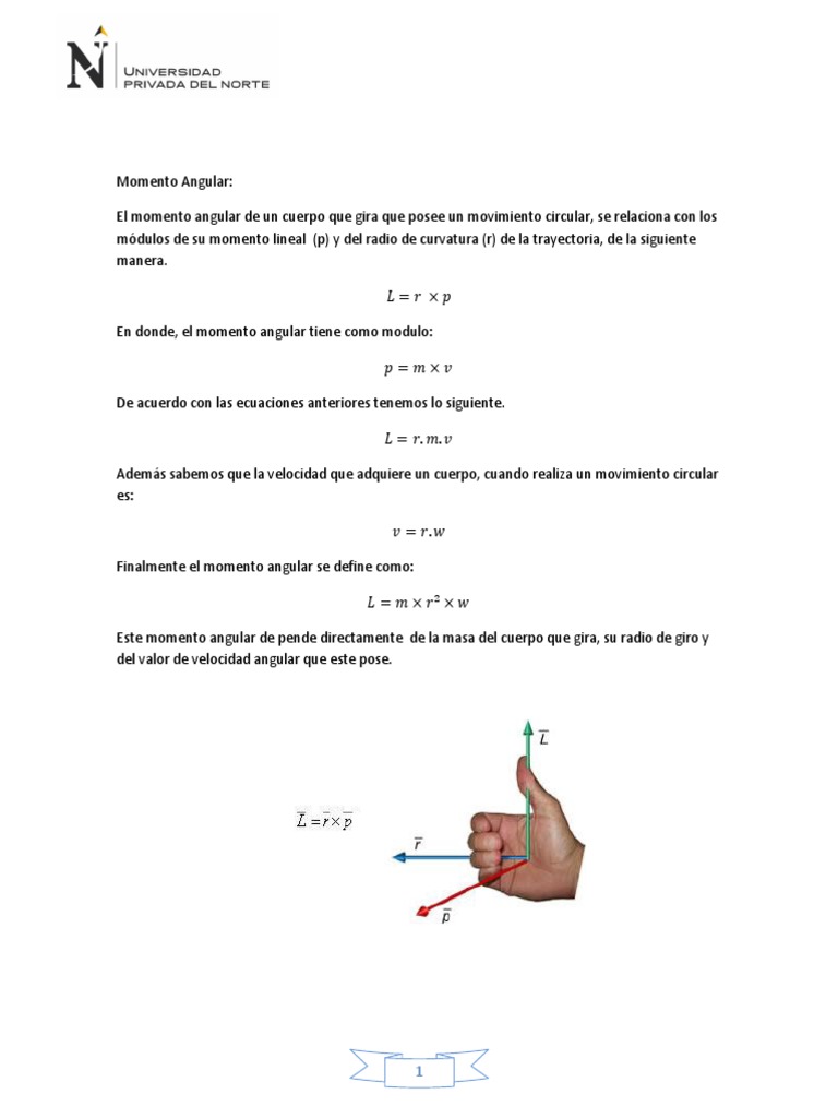 Calculo 2 Original | PDF | Masa | Momento angular