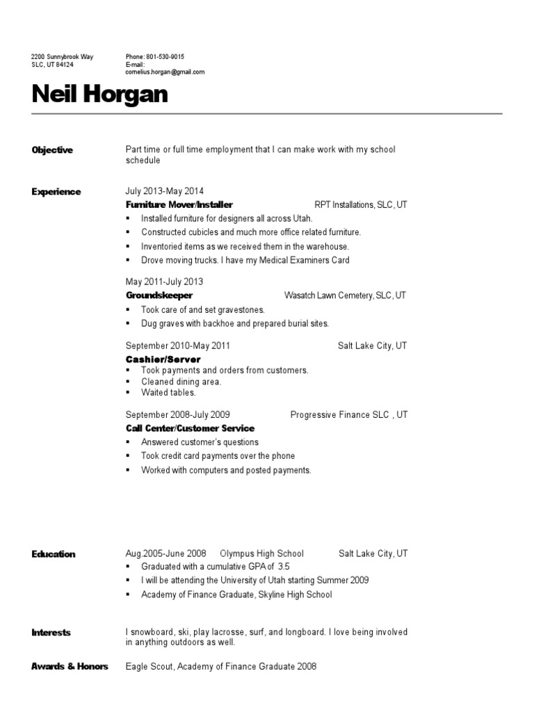 Neils Resume 1 | PDF