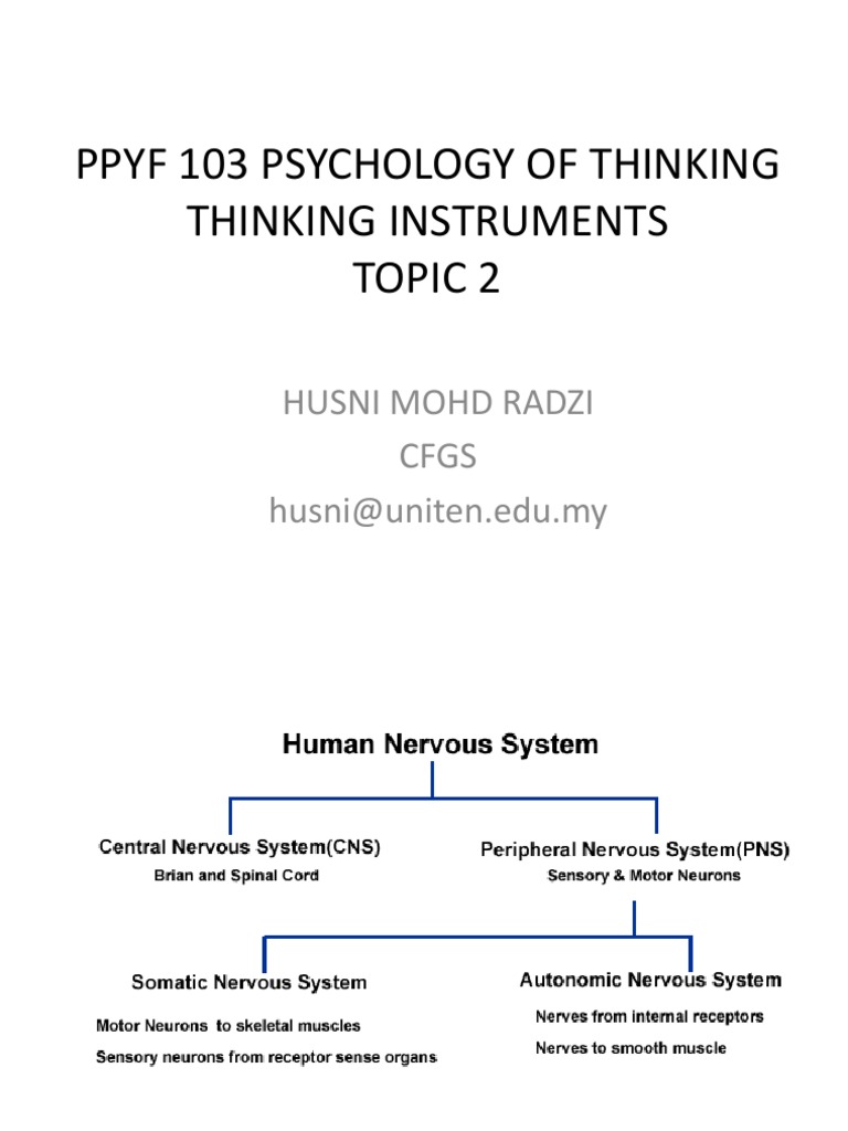 Psychology of Thinking | PDF | Neuron | Brain
