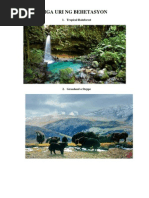 Araling Panlipunan Group 1 Funan at Angkor | PDF